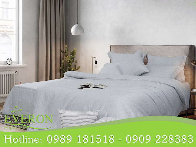 Dailyeveron báo giá bộ Everon 2025 mới nhất | Fili