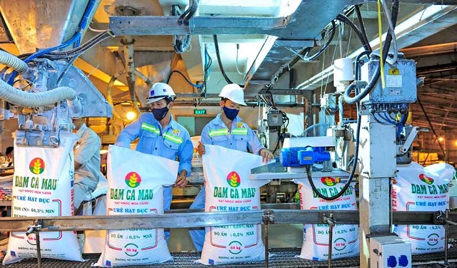 DCM nâng kế hoạch lợi nhuận 2024 trong ngày cuối cùng của năm | Fili