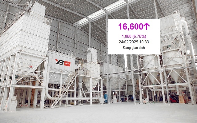 Cổ phiếu tăng kịch trần 7 phiên liên tiếp, YBM tung giải trình văn mẫu | Fili