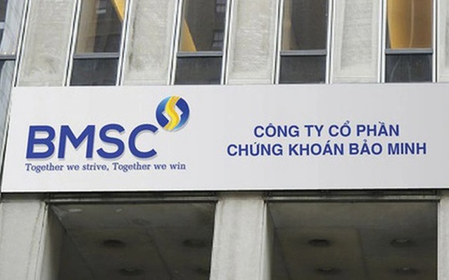 BMSC sắp phát hành 125 triệu cp riêng lẻ, nhóm Hoàn Cầu có mặt trong ...