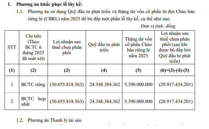 Chủ tịch LDP kiên trì thoái vốn trước thềm phát hành tăng vốn lên 280 ...